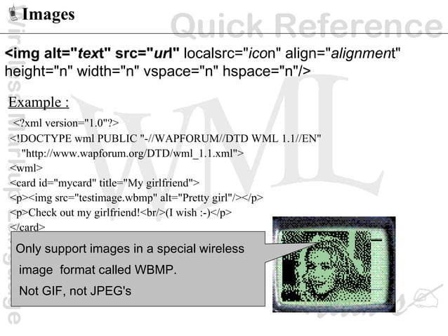 Quick Referance to WML | PPT