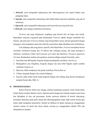 Preparat Whole Mount Protozoa_Preparat Rentang Mesenterium_Preparat ...