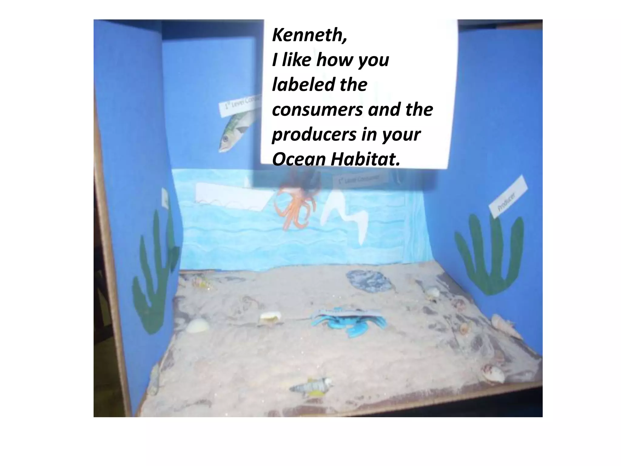 Alamance/Williams HS OCS Bio Habitat Dioramas | PPTX