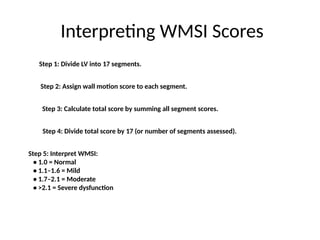 Wall motion severity index 17 segment model | PPTX