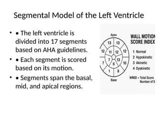 Wall motion severity index 17 segment model | PPTX