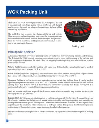 WMSP Diverter, WMSP Diverter Oilfield Equipment - WOM Group | PDF