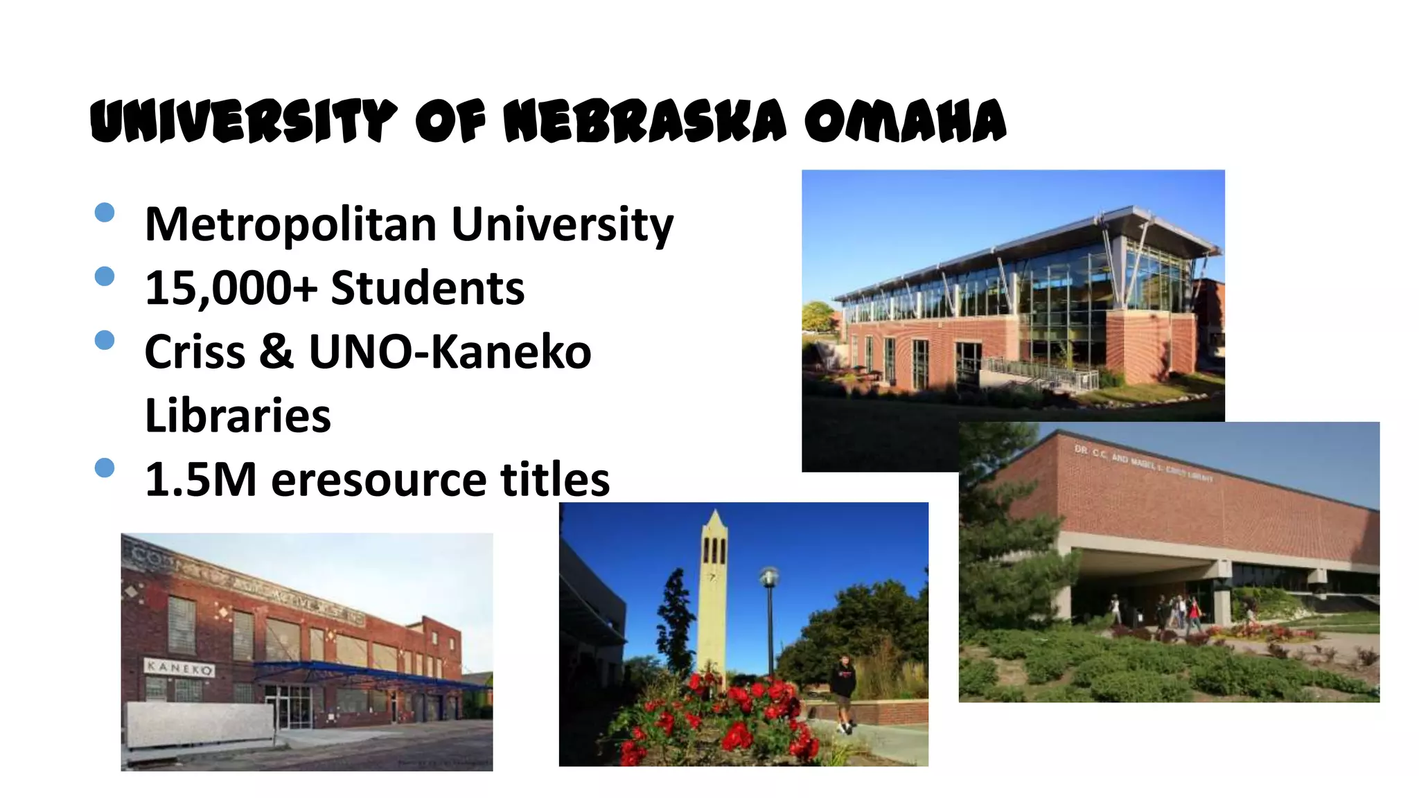 WMS Reality Check | PPTX | Technology & Computing