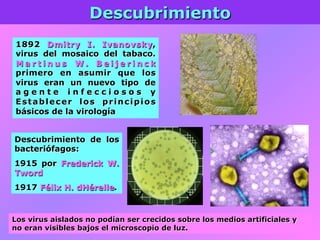 Virus | PDF
