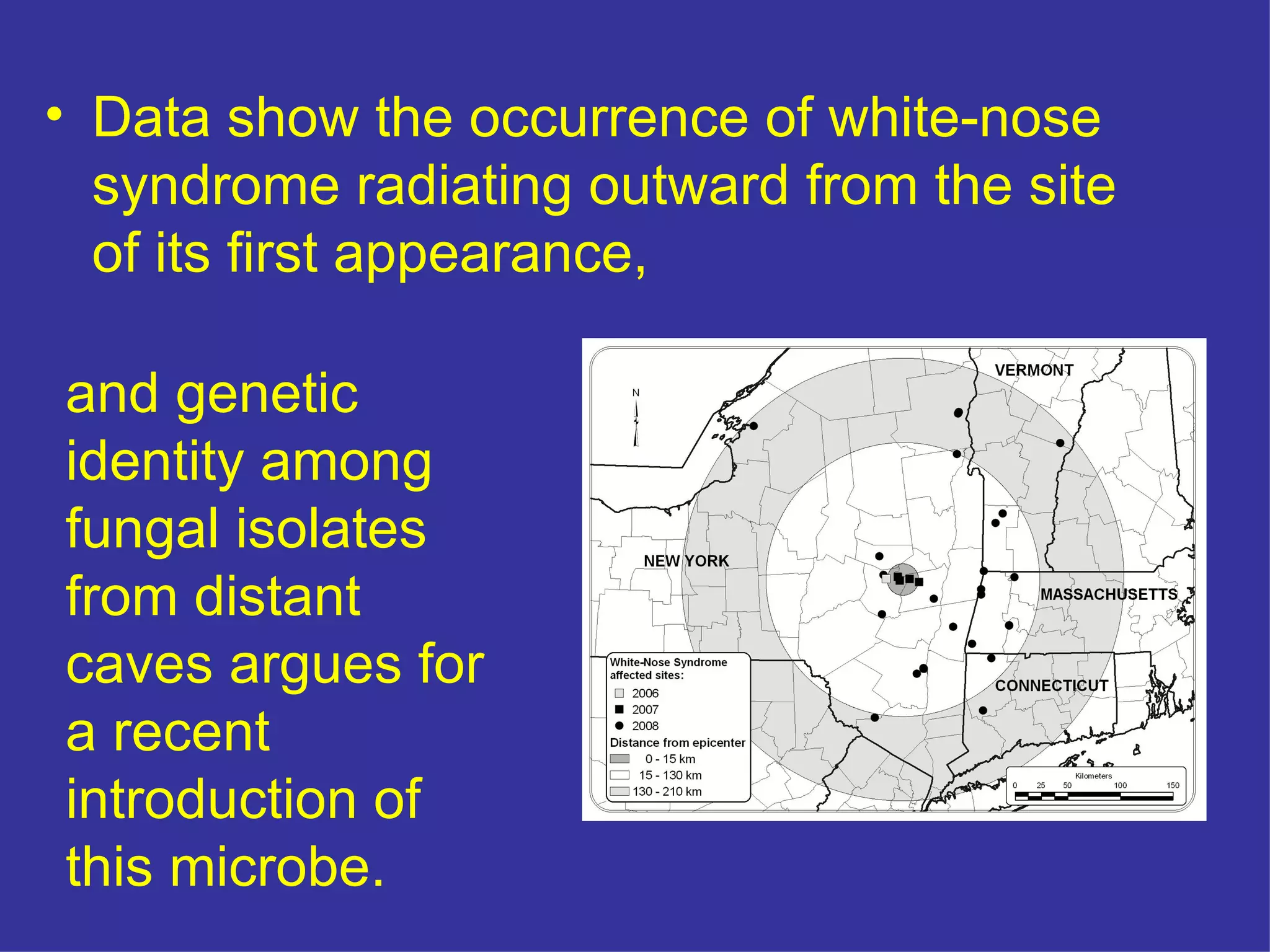 White Nose Syndrome | PPT