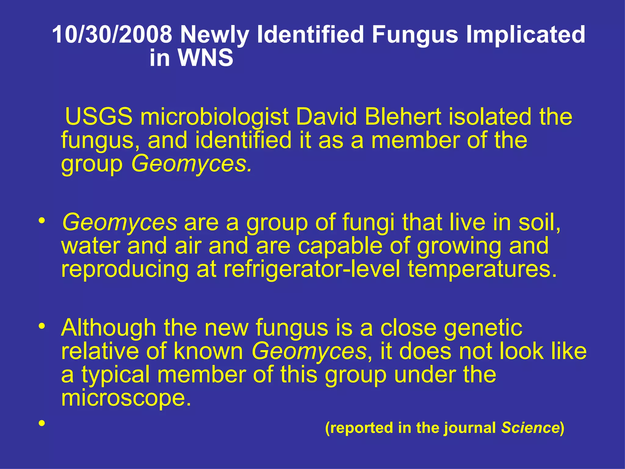 White Nose Syndrome | PPT