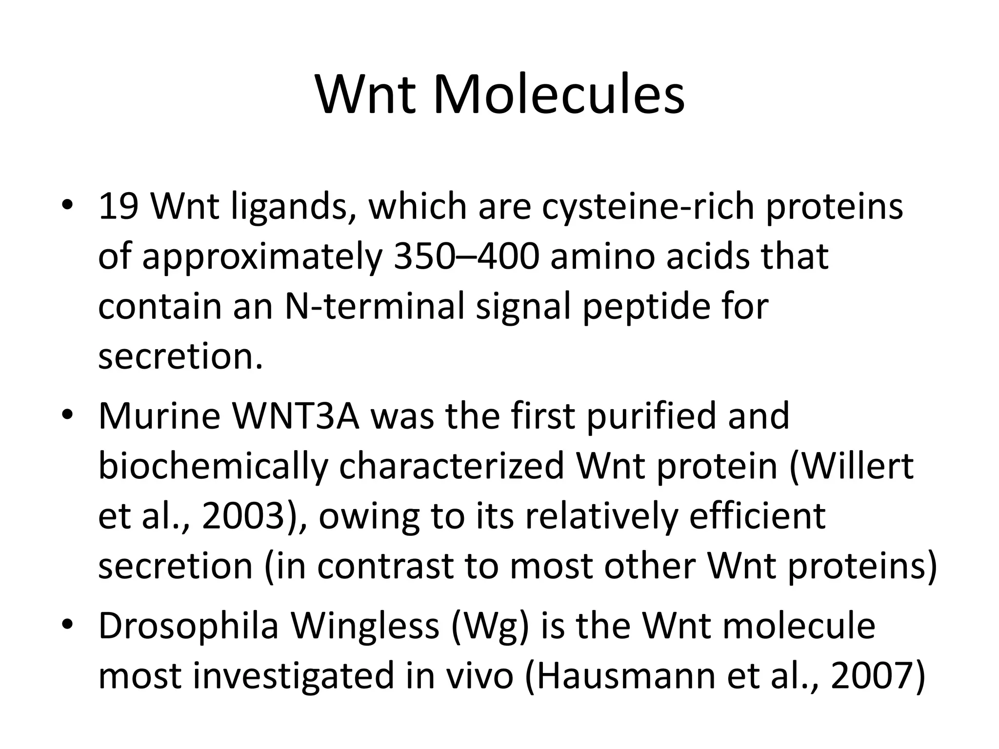 Wnt-Signalling in Endocrinology | PPTX