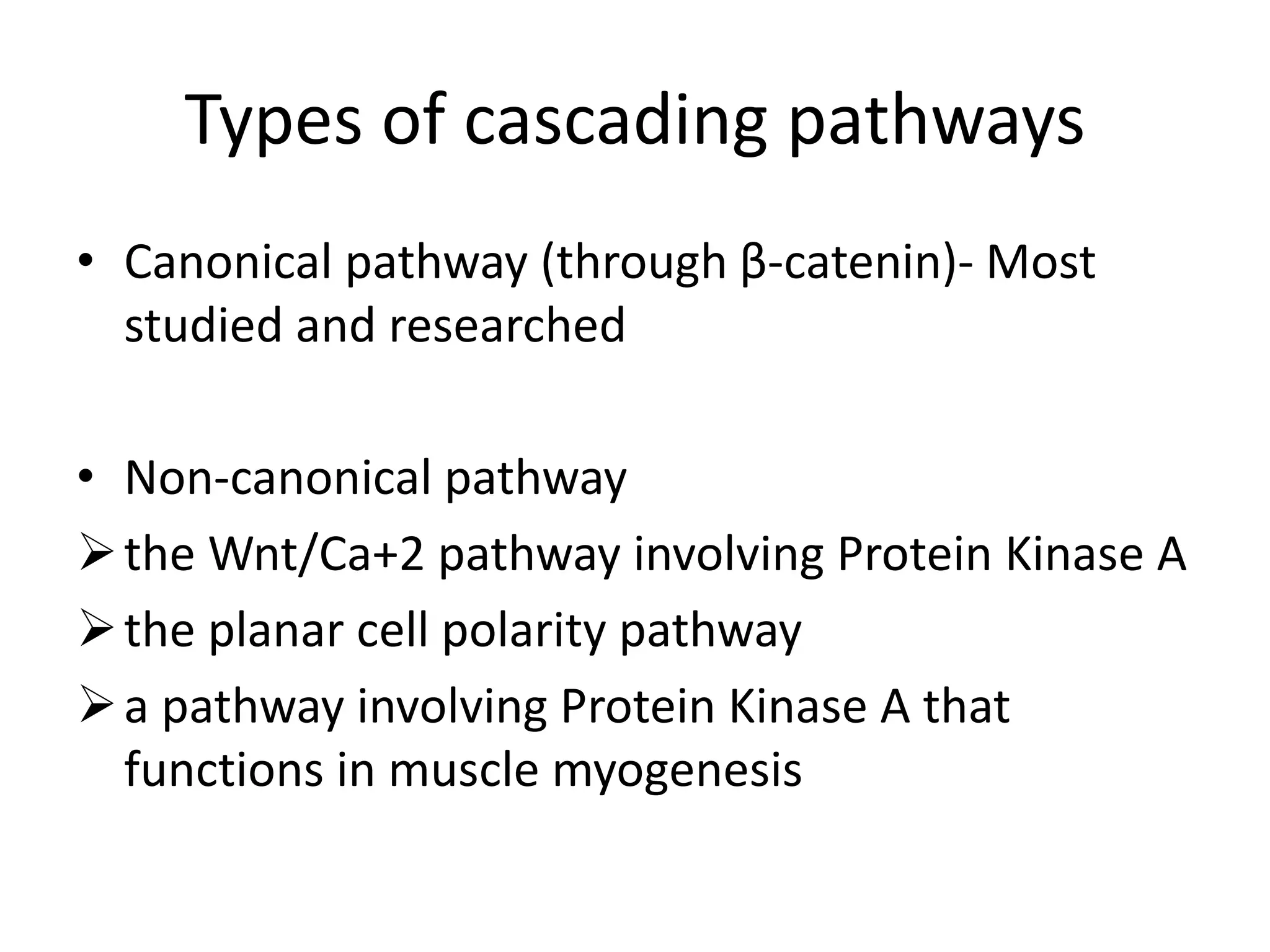 Wnt-Signalling in Endocrinology | PPTX
