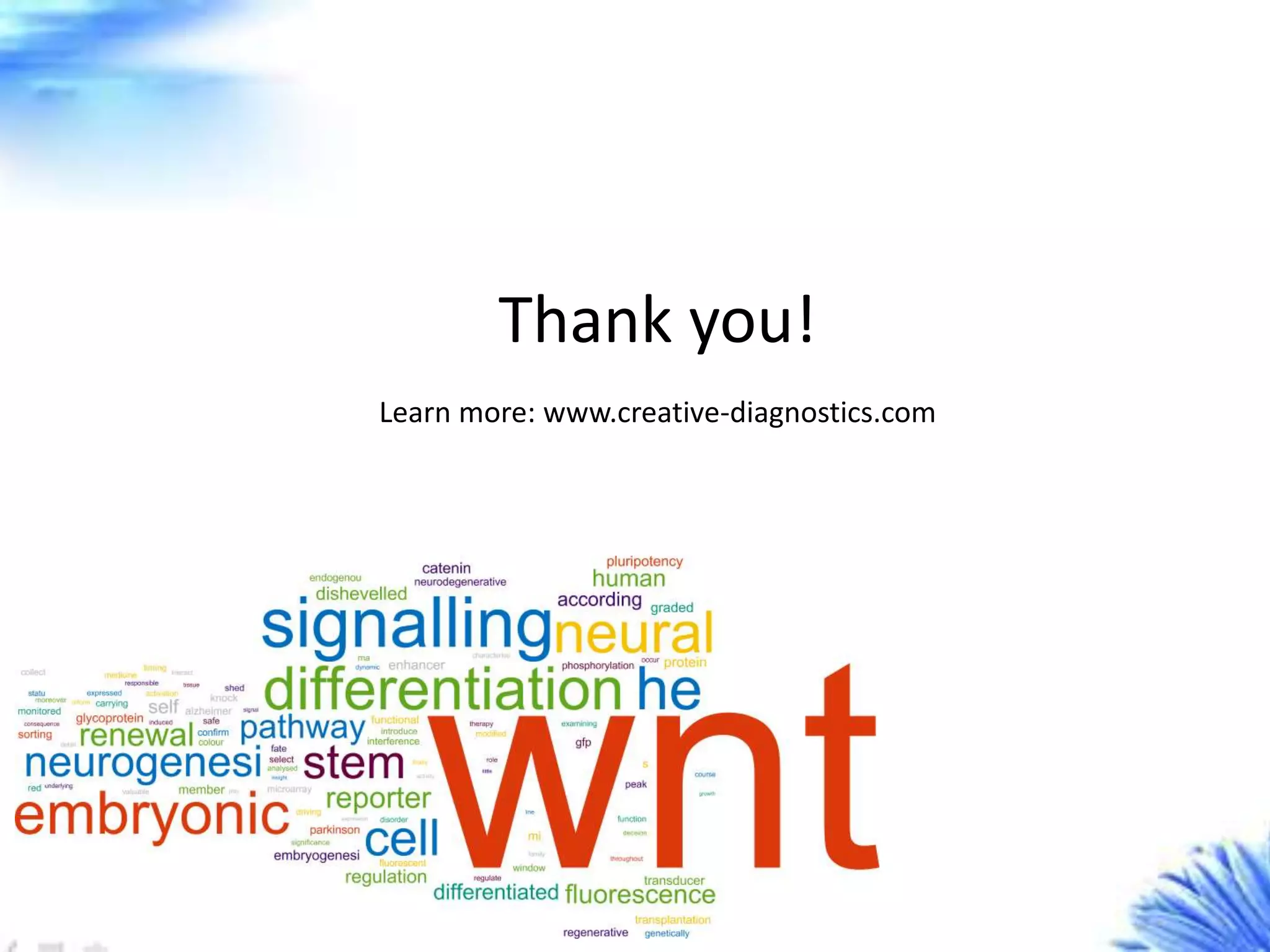 Wnt signaling pathway creative diagnostics | PPTX