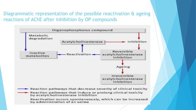 Organophosphorus_Poisoning_final.pptx