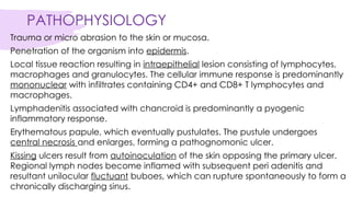Complete CHANCROID dermatology in ppt format | PPTX