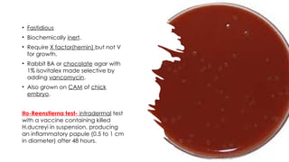 Complete CHANCROID dermatology in ppt format | PPTX