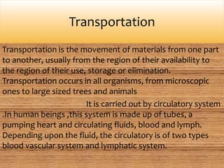 Circulatory system class 11 cbse | PPTX