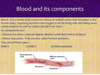 Circulatory system class 11 cbse | PPTX