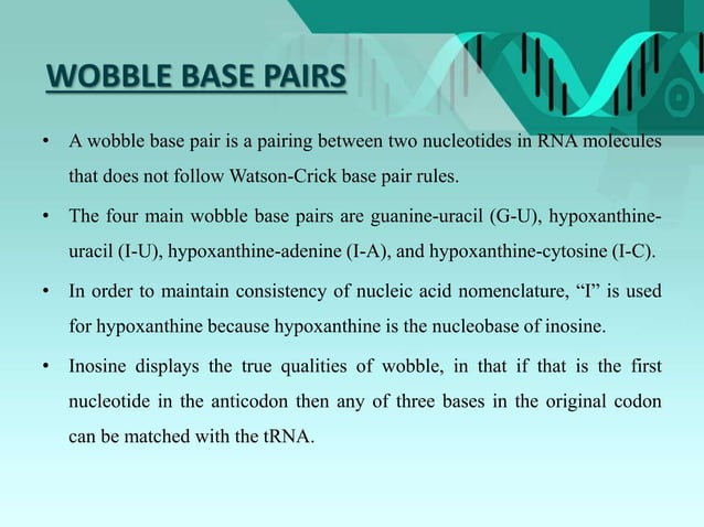 Wobble hypothesis | PPTX