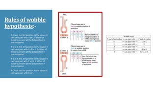 Wobble hypothesis | PPTX