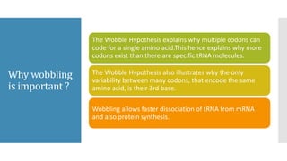 Wobble hypothesis | PPTX