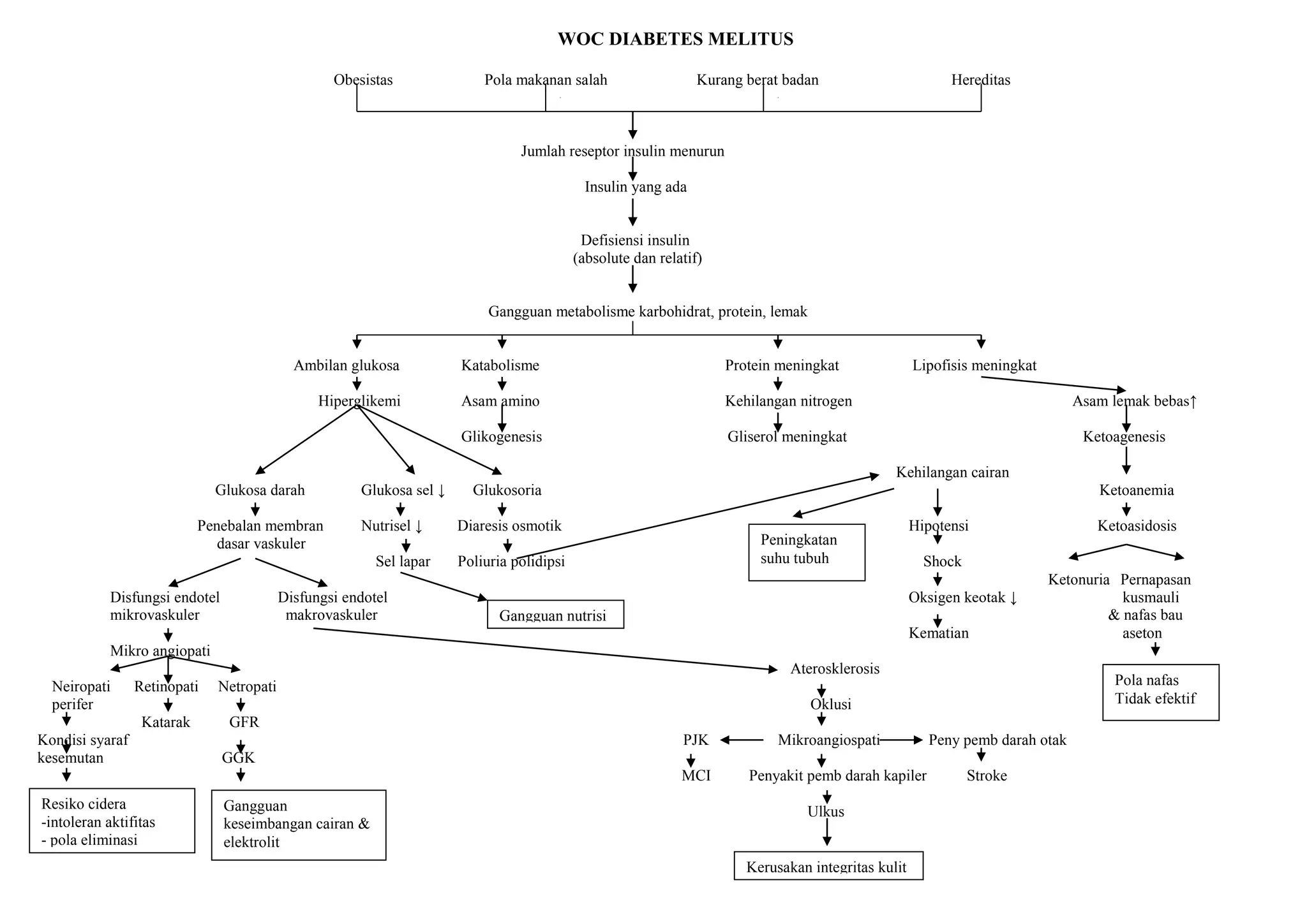 Woc-Diabetes-Melitus.doc