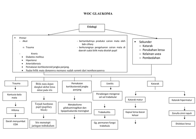 WOC penyakit mata Glaukoma | DOC