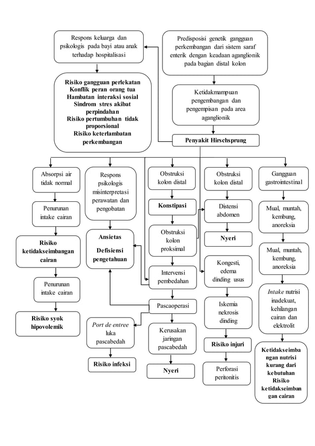 Woc hirschsprung | DOCX