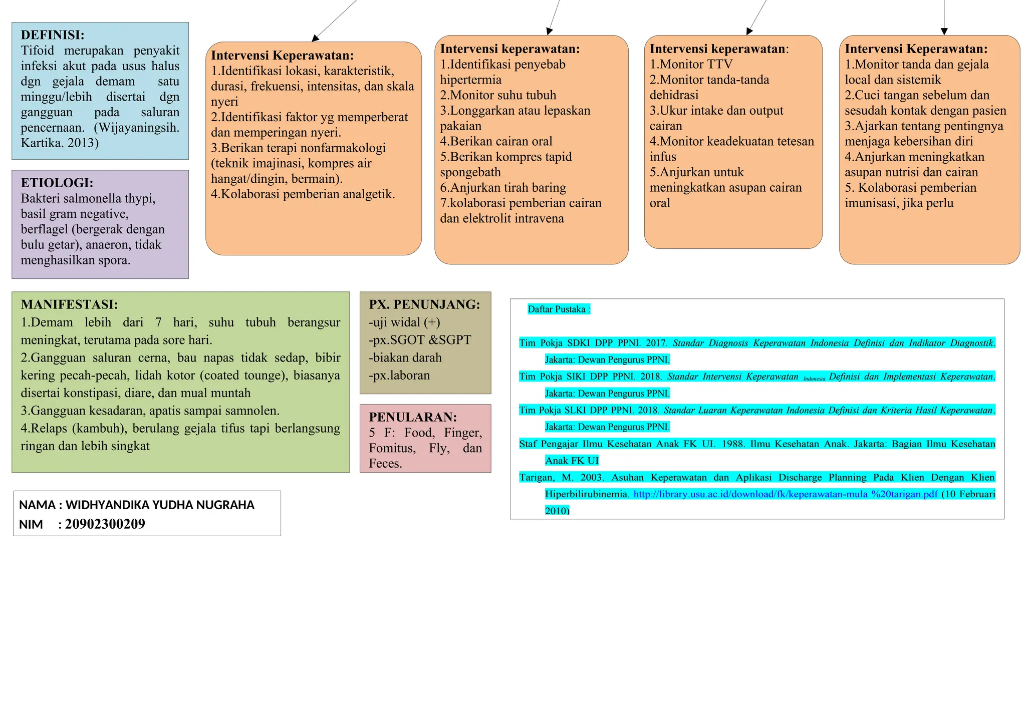 WOC demam TYPHOID pada anak anak dan dewasa | DOCX