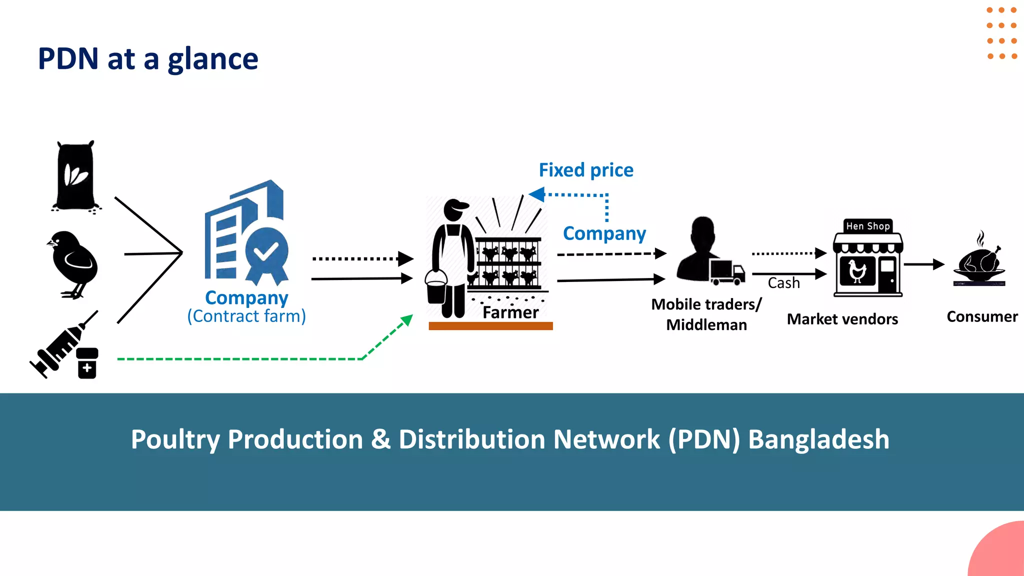Barriers to comprehensive veterinary care in poultry farms in Bangladesh & their impact on ...
