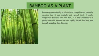 Woisri bamboo sustain | PPTX