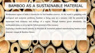 Woisri bamboo sustain | PPTX