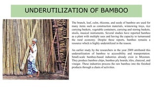 Woisri bamboo sustain | PPTX