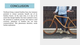 Woisri bamboo sustain | PPTX