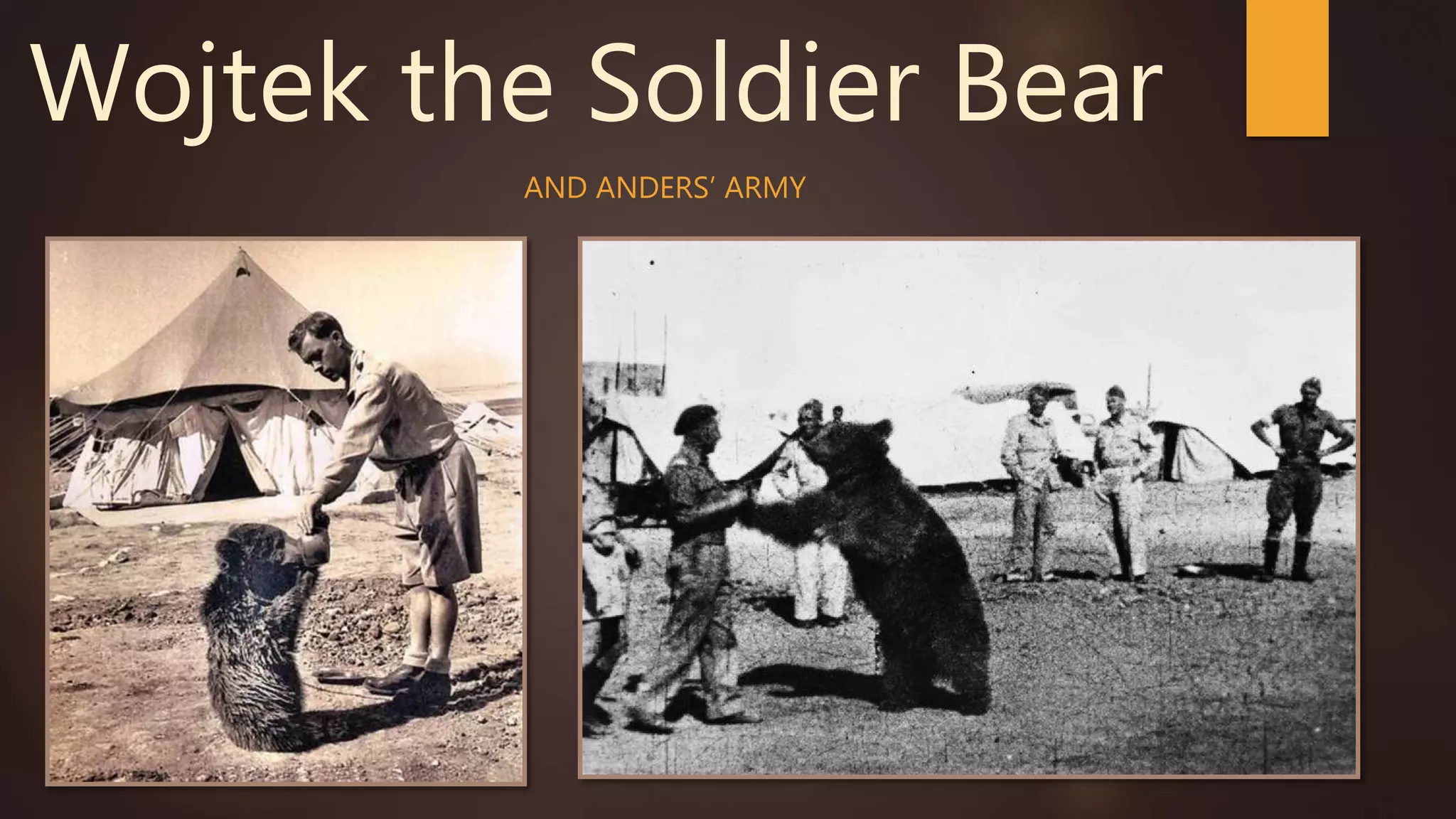Wojtek the Soldier Bear and Anders' Army | PPTX