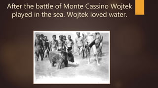 Wojtek the Soldier Bear and Anders' Army | PPTX
