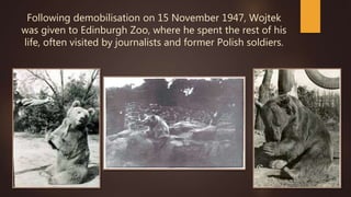 Wojtek the Soldier Bear and Anders' Army | PPTX
