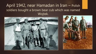 Wojtek the Soldier Bear and Anders' Army | PPTX