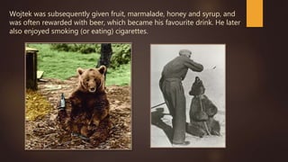 Wojtek the Soldier Bear | PPTX