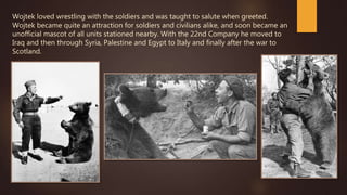 Wojtek the Soldier Bear | PPTX