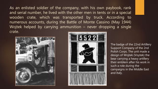 Wojtek the Soldier Bear | PPT