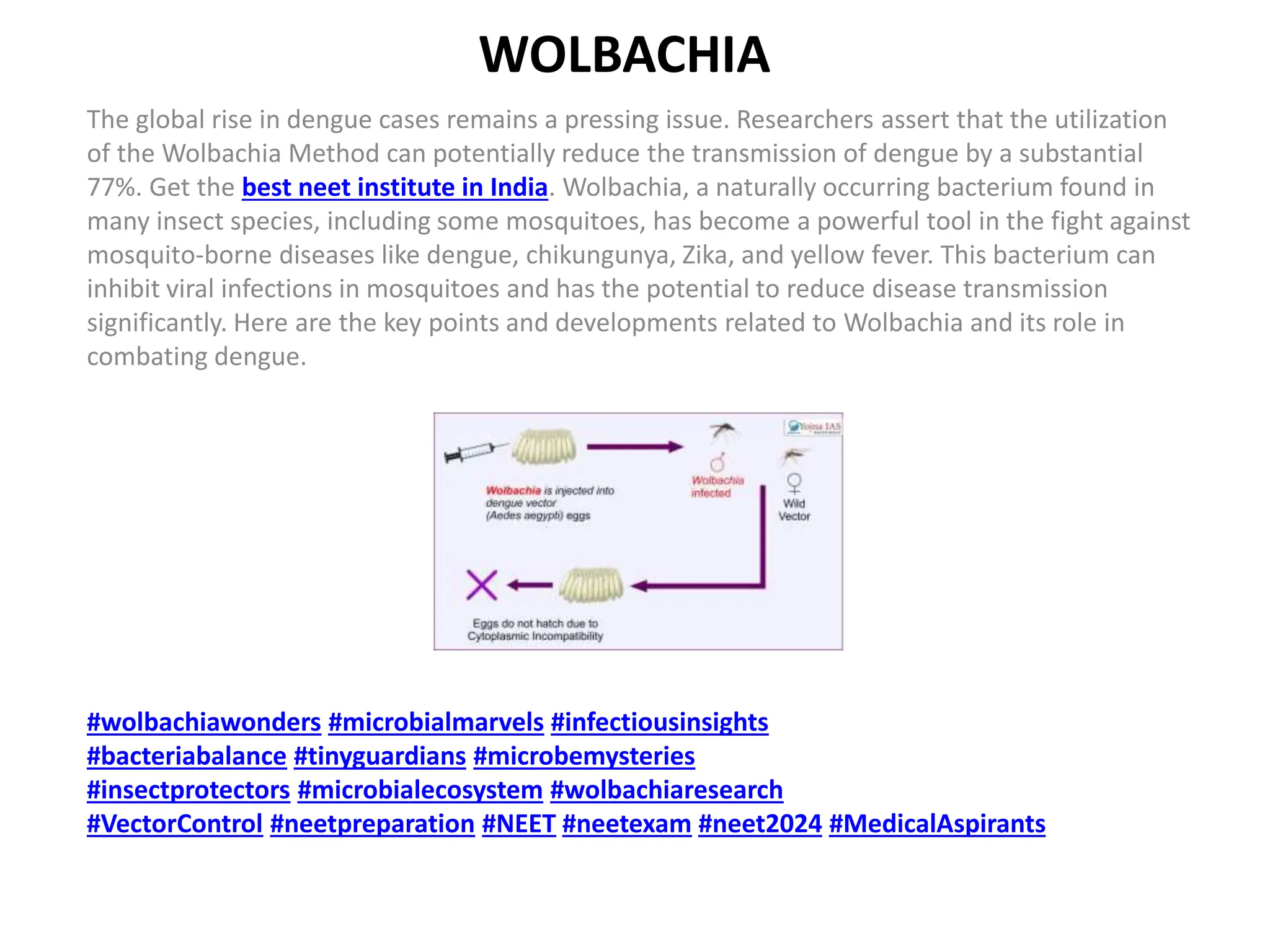 WOLBACHIA.pptx
