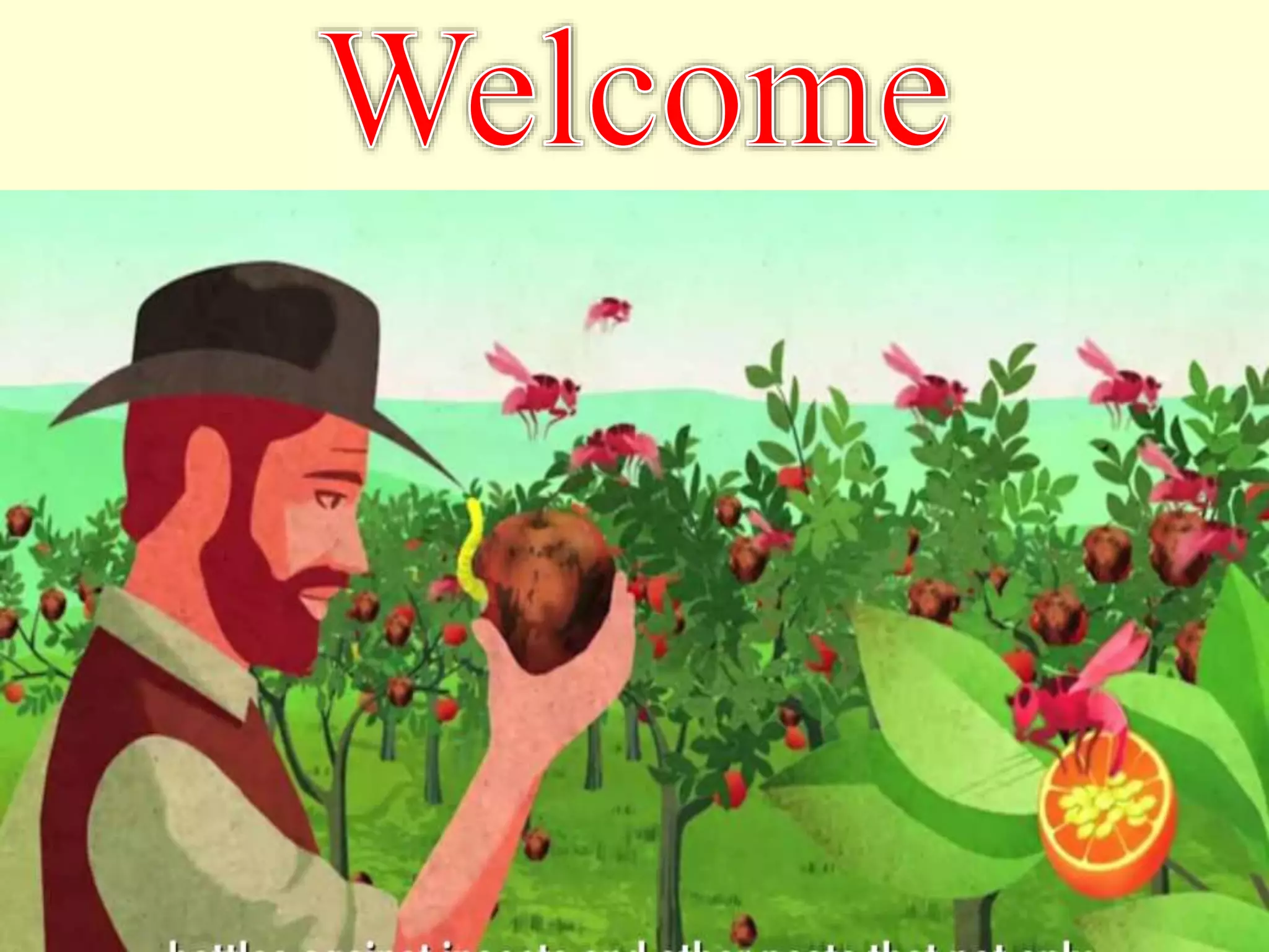 Wolbachia based strategies to control insect pests and disease vectors ...