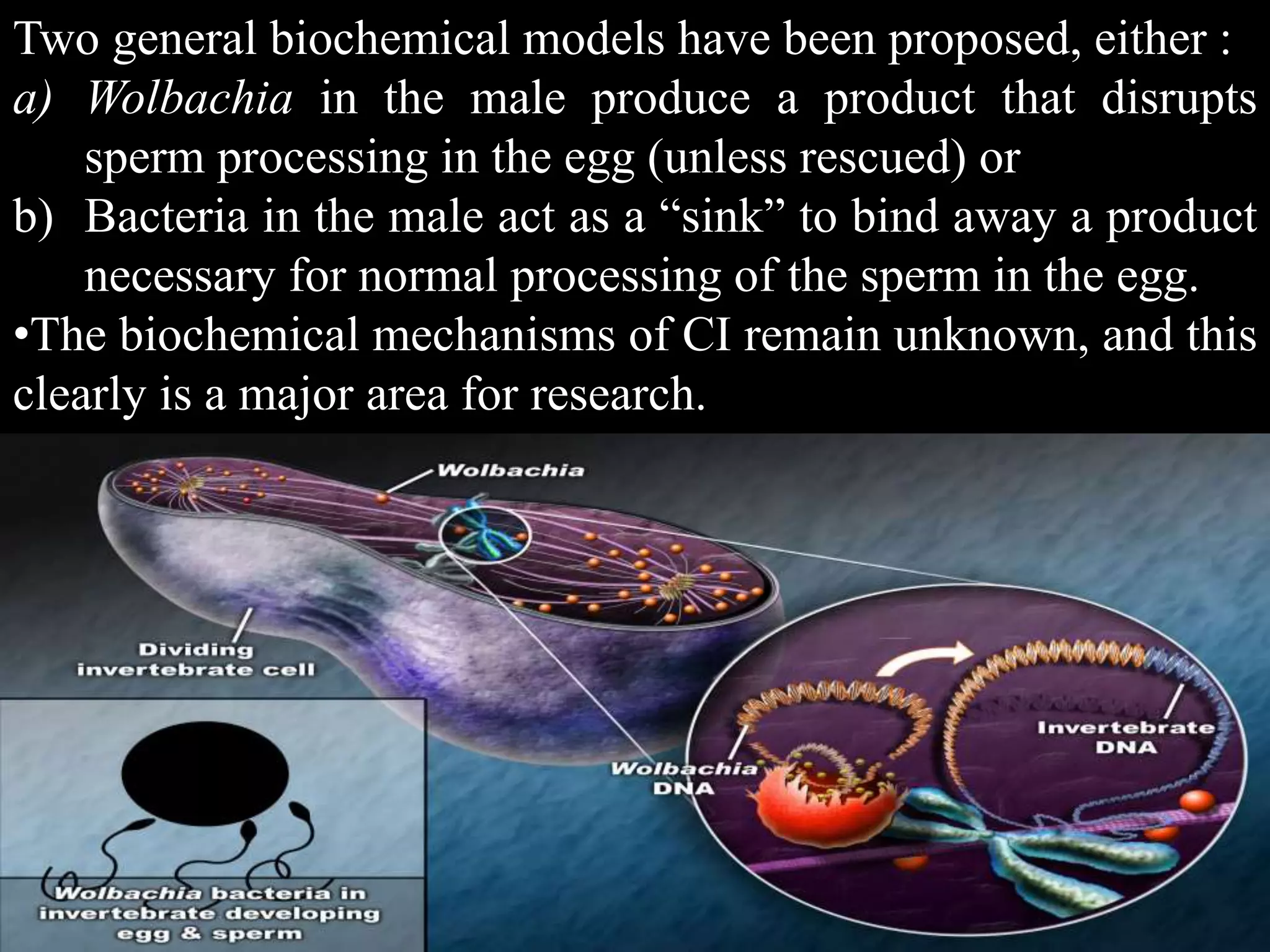 Wolbachia based strategies to control insect pests and disease vectors | PPTX