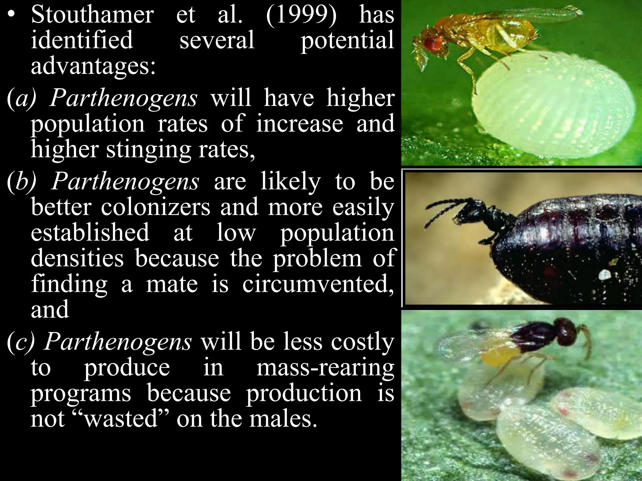 Wolbachia based strategies to control insect pests and disease vectors | PPTX