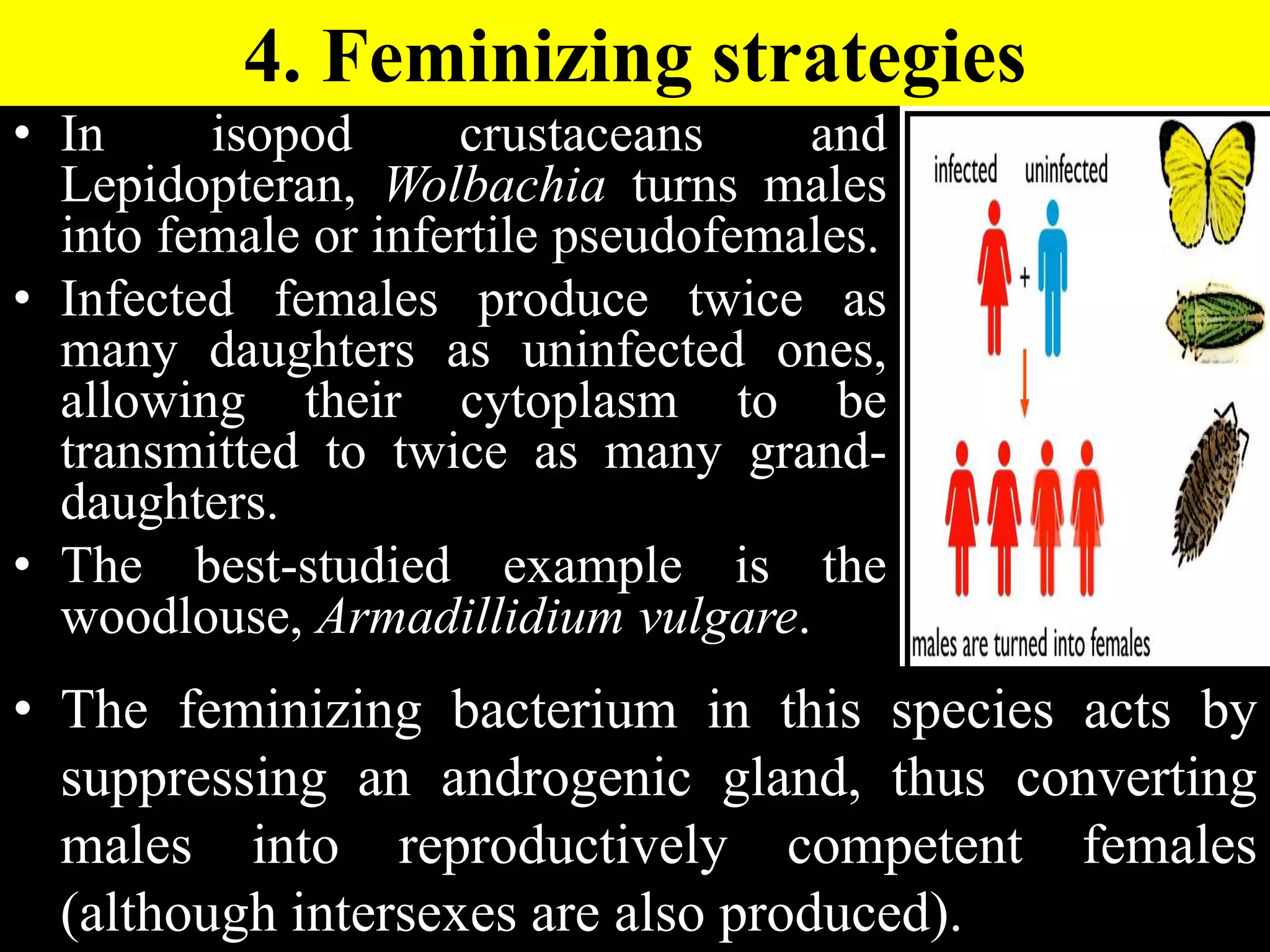 Wolbachia based strategies to control insect pests and disease vectors | PPTX