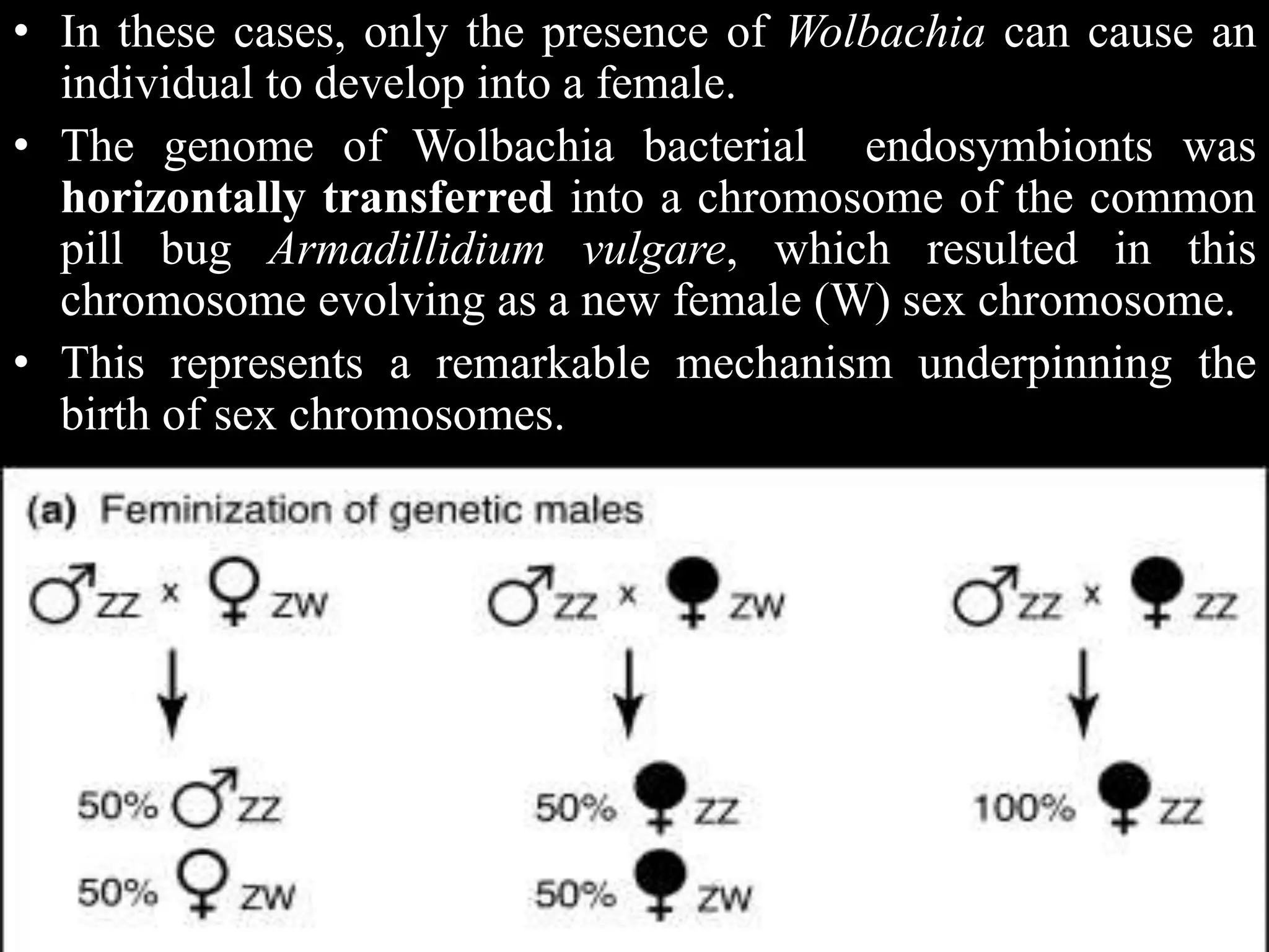 Wolbachia based strategies to control insect pests and disease vectors | PPTX