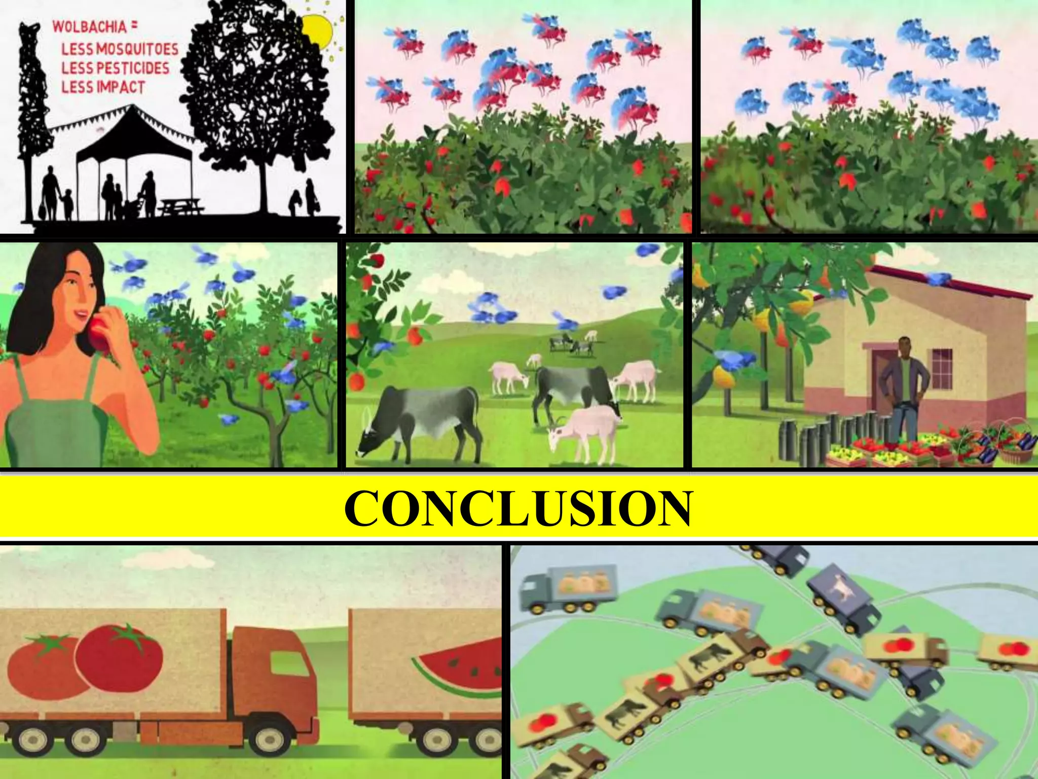 Wolbachia based strategies to control insect pests and disease vectors | PPTX