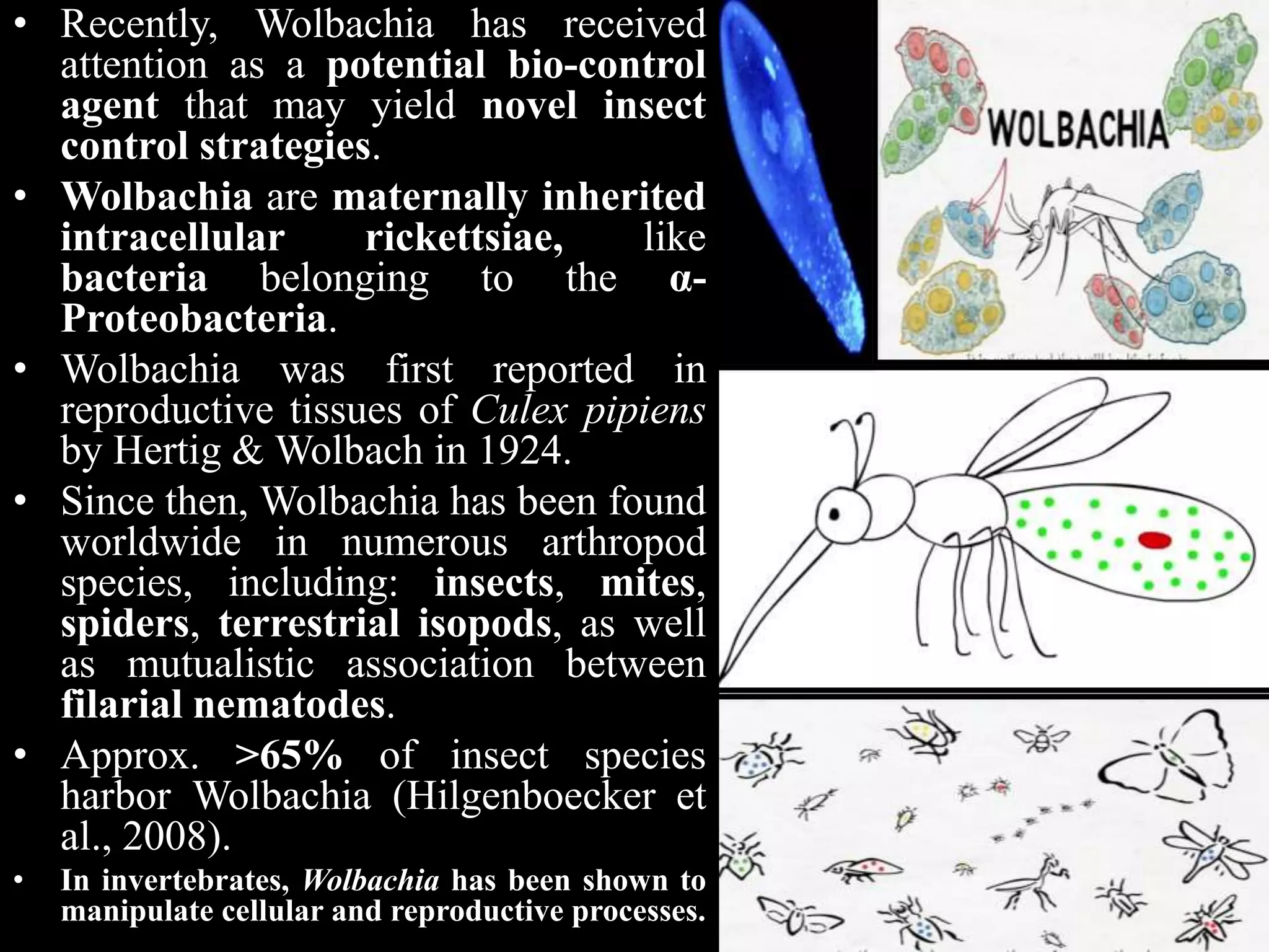 Wolbachia based strategies to control insect pests and disease vectors | PPTX