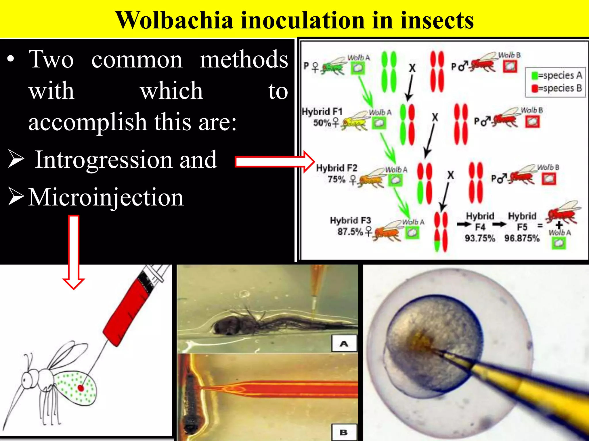 Wolbachia based strategies to control insect pests and disease vectors ...