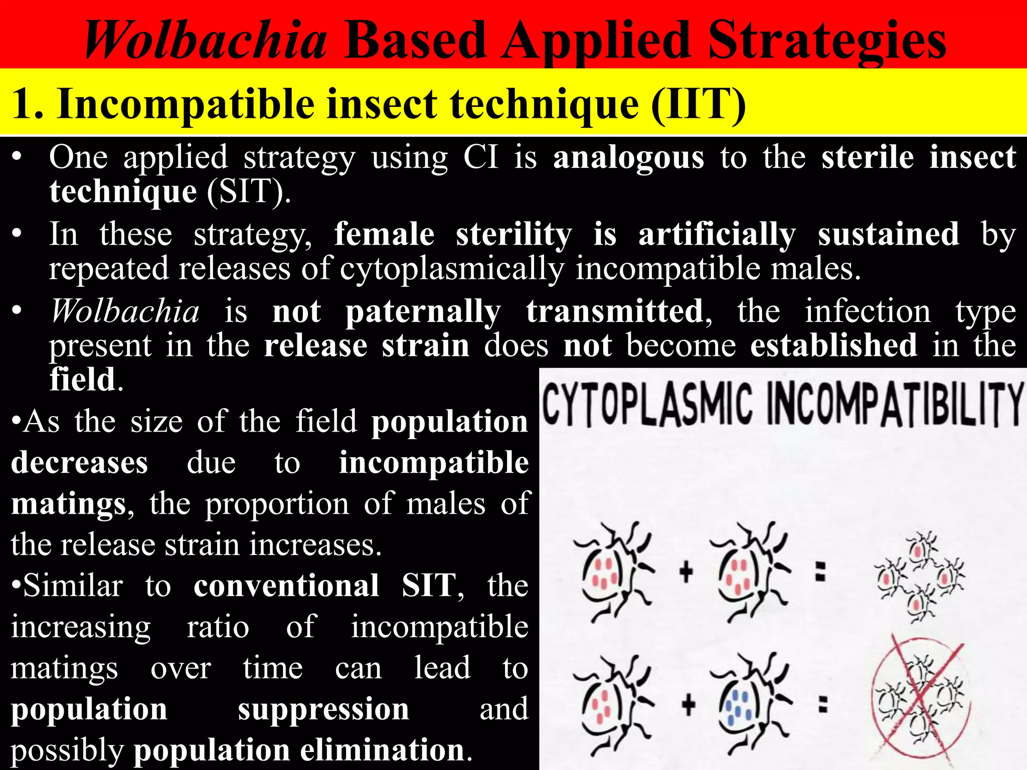 Wolbachia based strategies to control insect pests and disease vectors | PPTX
