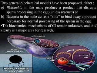 Wolbachia based strategies to control insect pests and disease vectors | PPTX
