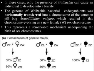 Wolbachia based strategies to control insect pests and disease vectors ...