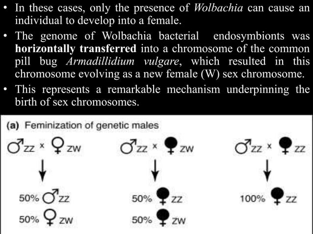 Wolbachia based strategies to control insect pests and disease vectors | PPTX